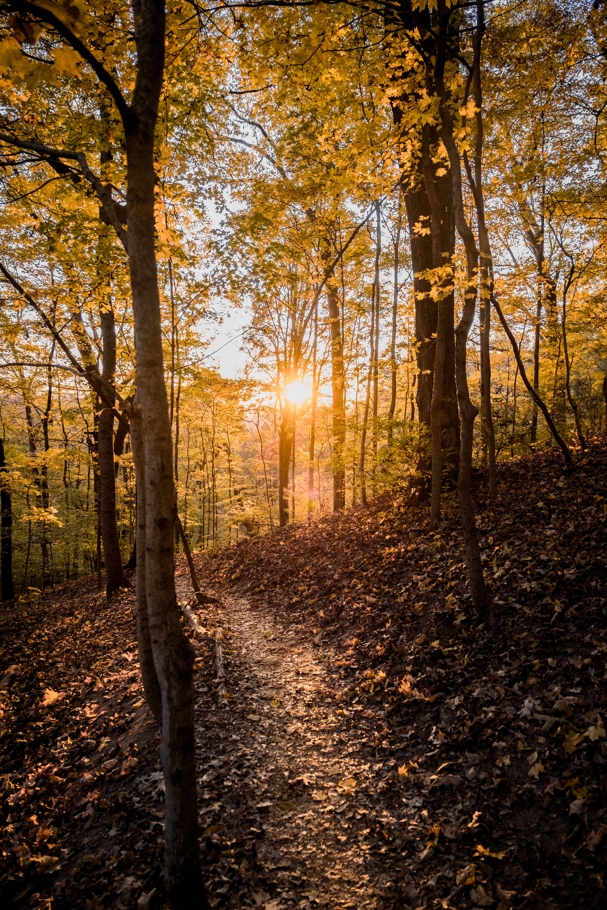 Awakened Spirit Festival